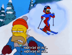 Homer Simpson Thinking While On A Ski GIF | GIFDB.com