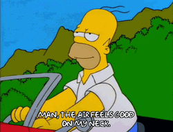 Homer Simpsons Hickey Love Bites GIF | GIFDB.com