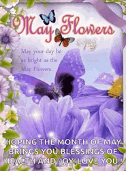 Hoping In The Month Of May Brings Blessings GIF | GIFDB.com