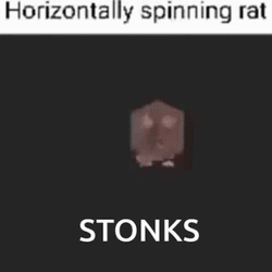 Horizontally Spinning Rat Stonks Meme GIF | GIFDB.com