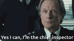 Hot Fuzz I'm The Chief Inspector GIF | GIFDB.com