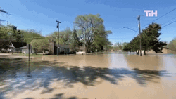 Houses Soaked In Flooding GIF | GIFDB.com