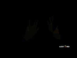 Howl's Moving Castle Black Feathers GIF | GIFDB.com