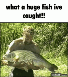 Huge Fish Caught On Cam GIF | GIFDB.com
