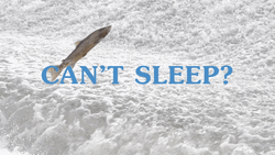 Huge Fish Floating Cant Sleep GIF | GIFDB.com