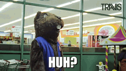 Huh Meme Beaver Rodent Mascot GIF | GIFDB.com