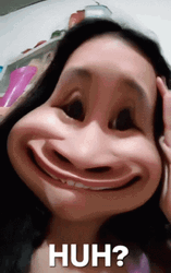 Huh Meme Face Warp GIF | GIFDB.com