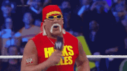 Hulk Hogan Let Me Tell You Brother GIF | GIFDB.com
