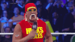 Hulk Hogan Let Me Tell You Something Brother GIF | GIFDB.com
