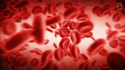 Boy Covering Himself From Blood GIF | GIFDB.com