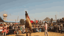 Hump Day Camel Forward And Backward Dance GIF | GIFDB.com