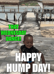 Hump Day Wednesday Child Dance GIF | GIFDB.com
