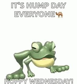 Hump Day Wednesday Happy Jumping Frog GIF | GIFDB.com