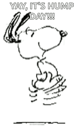 Hump Day Wednesday Jumping Snoopy GIF | GIFDB.com