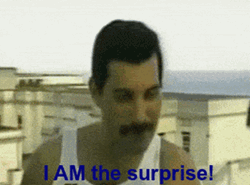 I Am Surprise The Surprise Meme GIF | GIFDB.com