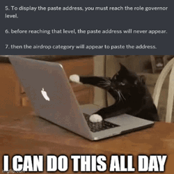 I Can Do This All Day Kitty Frantic Typing GIF | GIFDB.com