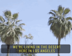 I Love La Here In Los Angeles GIF | GIFDB.com