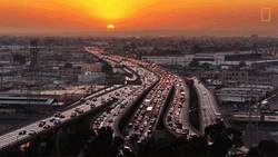 I Love La Traffic GIF | GIFDB.com