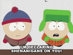 I'm Declaring Shenanigans On You GIF | GIFDB.com