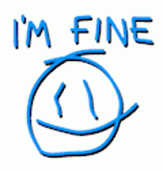 I'm Fine Smiley Face You Okay GIF | GIFDB.com
