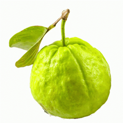 I'm Joey Guavey Guava Fruit GIF | GIFDB.com