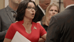 Iconic Veep Selena Meyer Nincompoop GIF | GIFDB.com