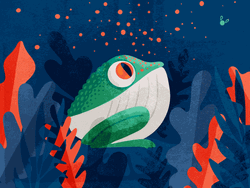 Illustration Of Nature And Frog GIF | GIFDB.com