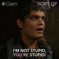Im Not Stupid Youre Stupid Dumb GIF | GIFDB.com