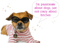 Im Passionate About Dog Mushu GIF | GIFDB.com