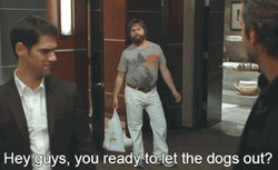 Im Ready To Party Zach Galifianakis GIF | GIFDB.com