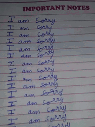 Important Notes I Am Sorry Apology GIF | GIFDB.com