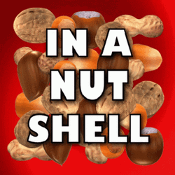 In A Nut Shell GIF | GIFDB.com