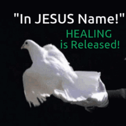 In Jesus Name Healing Is Released Doves GIF | GIFDB.com