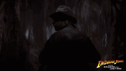 Indiana Jones Scared Expression GIF | GIFDB.com