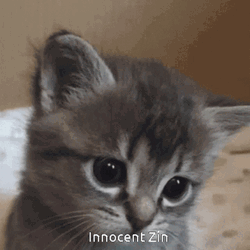 Innocent GIFs | GIFDB.com