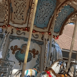 Intense Merry Go Round Ride GIF | GIFDB.com
