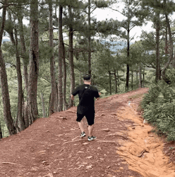 Into Woods Running Meme GIF | GIFDB.com