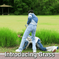 Introducing Grass To A Person GIF | GIFDB.com