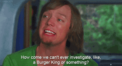 Investigate Like Burger King Or Something Shaggy GIF | GIFDB.com