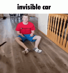 Invisible Car Meme GIF | GIFDB.com