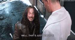 Irritated Lieutenant Dan That's Perfect GIF | GIFDB.com