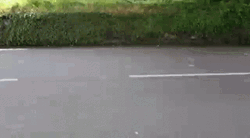 Isle Of Man Racer GIF | GIFDB.com