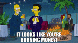 It Looks Like You're Burning Money The Simpsons GIF | GIFDB.com