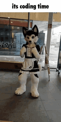 It's Coding Time Husky Mascot GIF | GIFDB.com