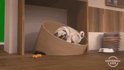 It's Friday Funny Pug Happy Reaction GIF | GIFDB.com