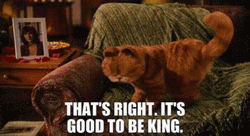 It's Good To Be King Garfield GIF | GIFDB.com