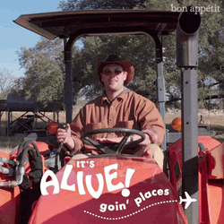 Its Alive Bon Appetit Product Commercial GIF | GIFDB.com