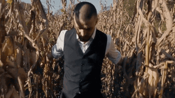 Its Corn Justin Timberlake Music Video GIF | GIFDB.com