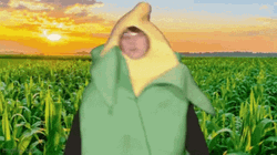 Its Funny Corn Suit Dancing In The Field GIF | GIFDB.com