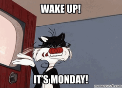 Its Monday Grumpy Lady GIF | GIFDB.com